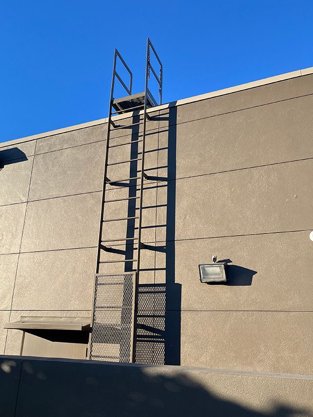 Roof access ladder store